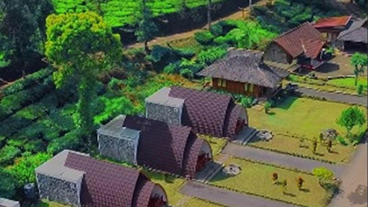 Kunjungi Beberapa Agrowisata Pedesaan di Indonesia