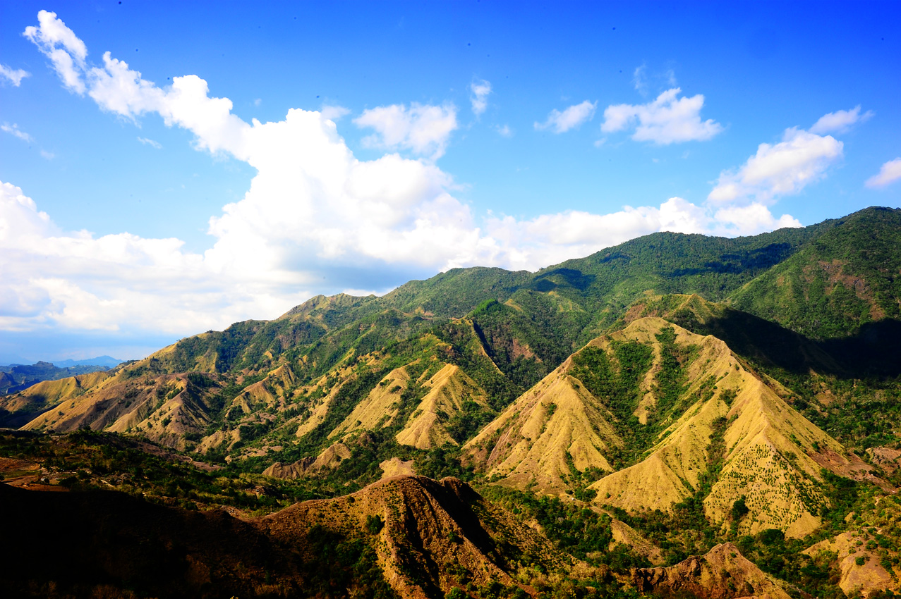 Keindahan Flora dan Fauna Taman Nasional Indonesia