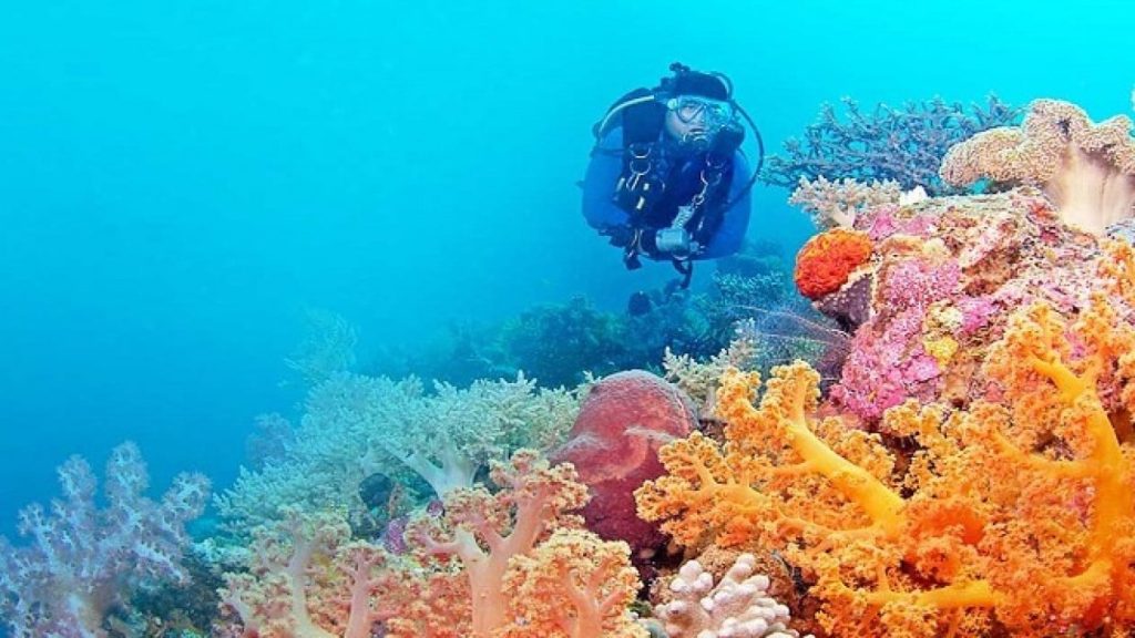 Keindahan Taman Laut Nasional Di Sulawesi