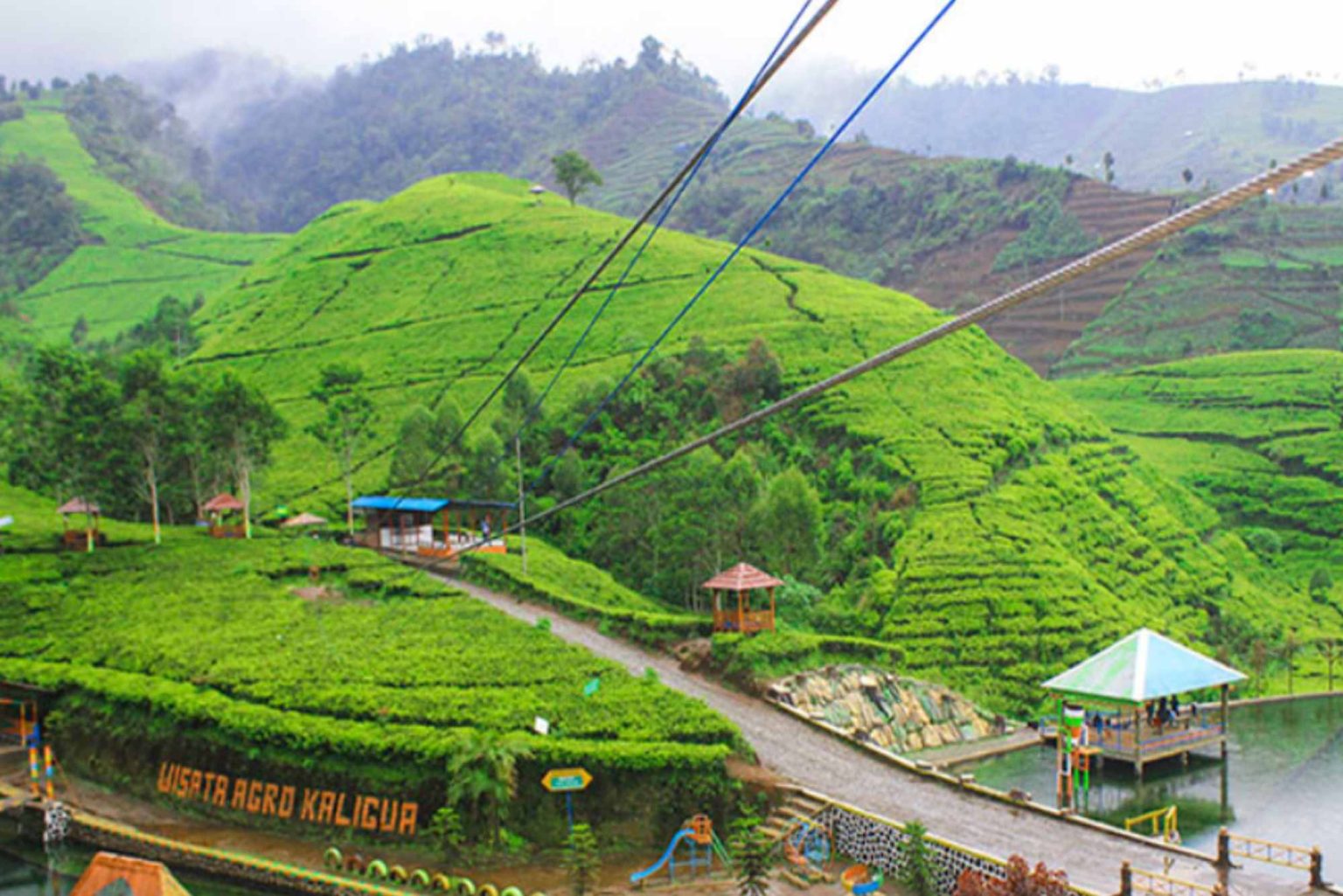 EARTHIANOS | Pengertian, Fungsi Dan Berbagai Destinasi Agrowisata,